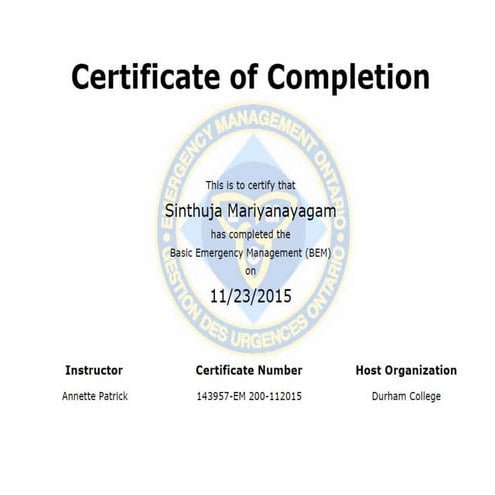 BEM ( Basic Emergency Management) | PDF