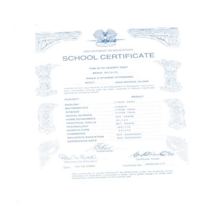 Lower Secondary (Grade 10) Certificate | PDF