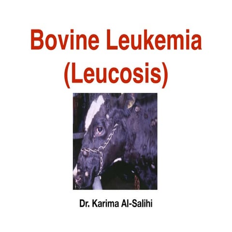 6 bovine leukemia (leucosis) | PDF | Blood Disorders | Diseases and ...