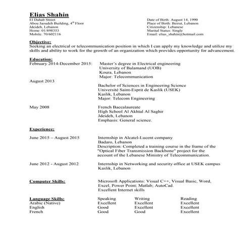 elias Shahin CV | PDF