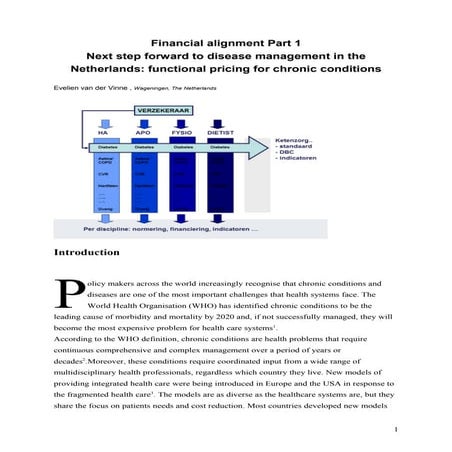 Financial alignment in the NL for DM 2010 EvdV Part One | PDF