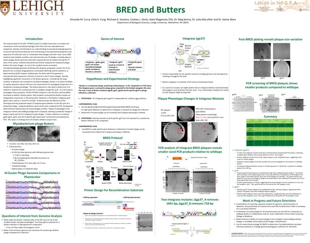 Molecular Biology Lab Poster
