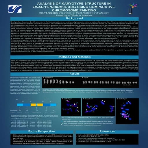 Quantitative karyotypic analysis in five varieties of lentil (Lens ...