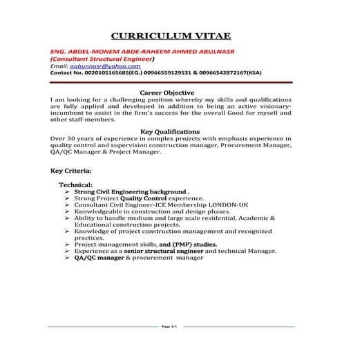 C.V. small size | PDF