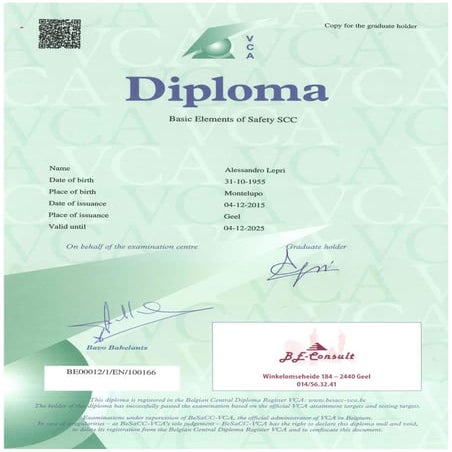 VCA - BASIC ELEMENTS OF SAFETY SCC | PDF