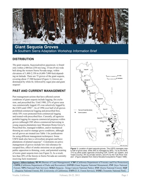 Giant Sequoia Groves_Website | PDF Giant Sequoia Groves_Website | PDF