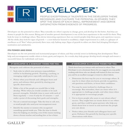 Developer | PDF