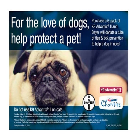 Bayer CCV Promotion | PPTX