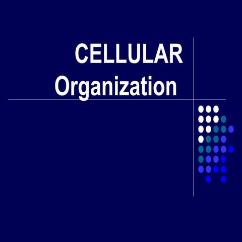 6 cellular organization | PPT