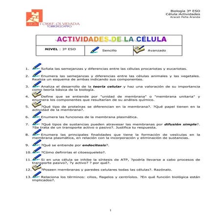 6 celula actividades | PDF