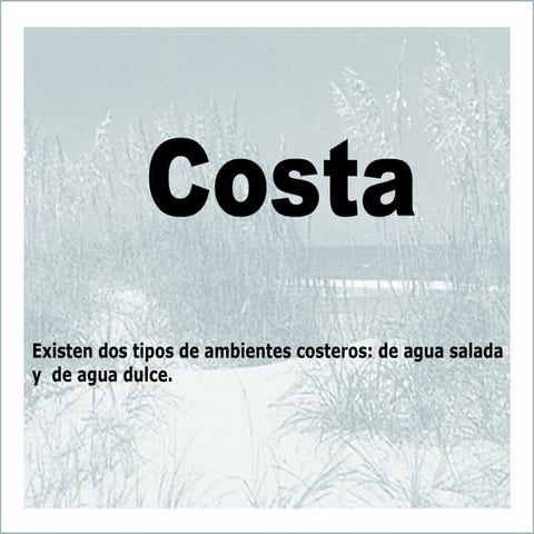 6 costas | PPT
