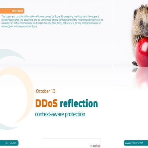 6cure DDoS Reflection | PDF