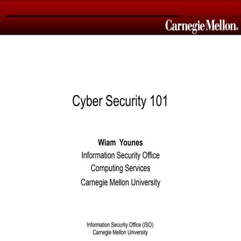 6 Cyber Security Introduction - sec101-idtheft .pptx