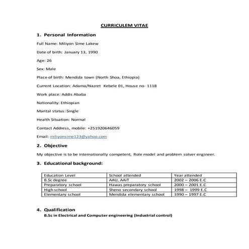 CURRICULEM VITAE | PDF | Programming Languages | Computing