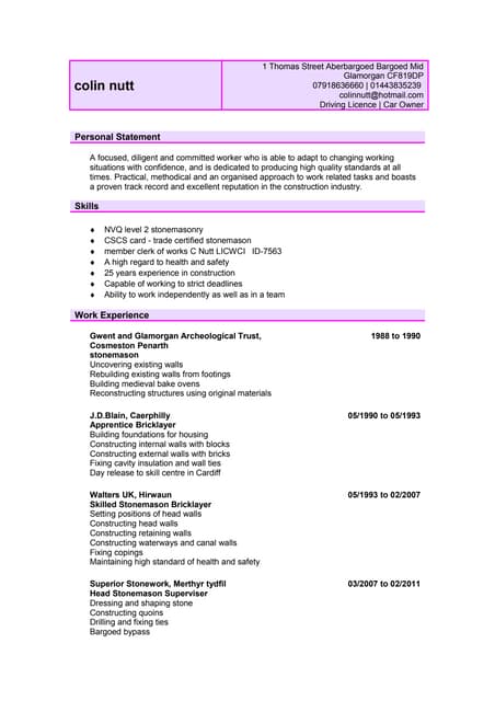 David Butler CV Apr 16 word | PDF