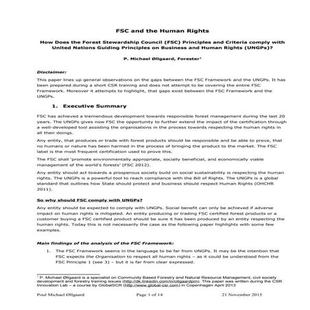 2013 04 14 FSC and UNGP | DOC