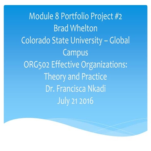 ORG502 Module 8 - porfolio project 2 - Revision 1 | PDF