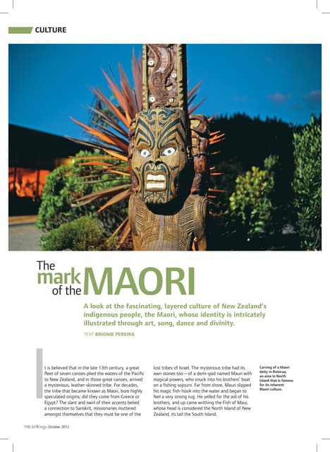 Navi Clans: Exploring the Rich Tapestry of Na’vi Culture | PDF