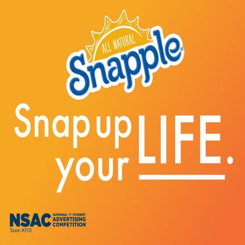 Snapple Plansbook | PDF