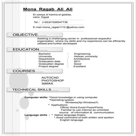 mona ragab c.v. | PPTX