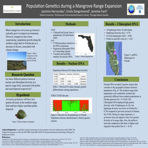 Hernandez2015REU | PPT