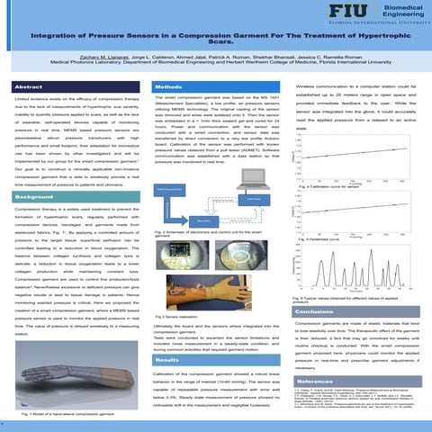 2015 BMES Annual Meeting Poster Presentation | PPTX