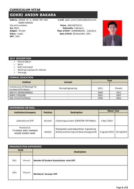CURRICULUM VITAE GEMAYEL_Master | PDF | Civil Engineering Industry | Industries