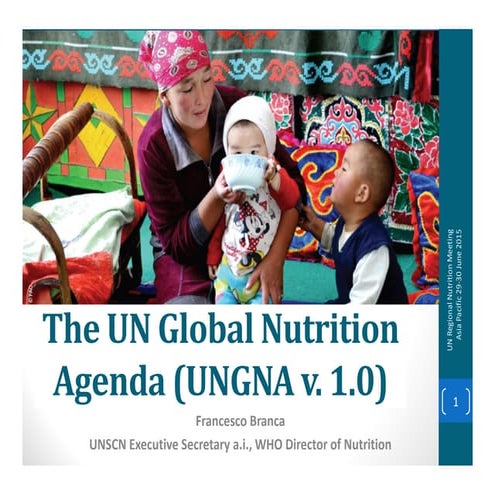 UN Network Guidance Package on the Nutrition Inventory and UN Nutrition ...
