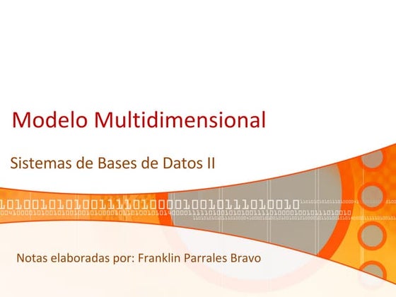 Velden in files CaseWare | PPT