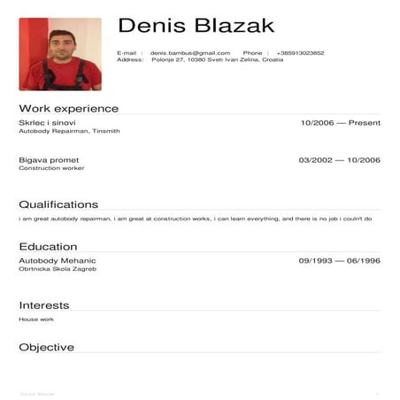 denis_cv_eng | PDF