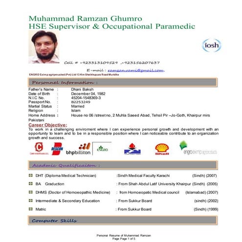 M Ramzan HSE cv | DOCX