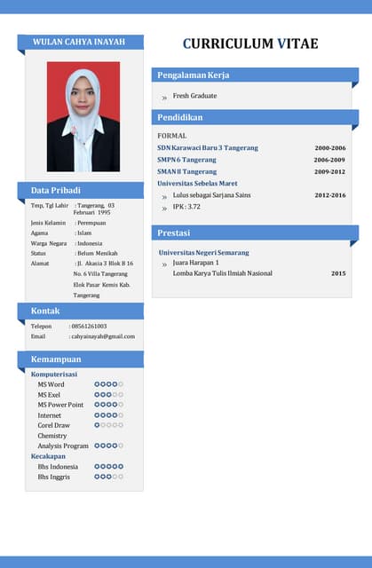 Curriculum vitae | PDF