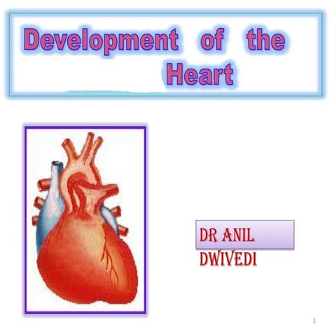 6 development of the heart akd | PPTX