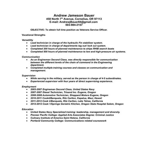 Andrew Bauer resume | DOC