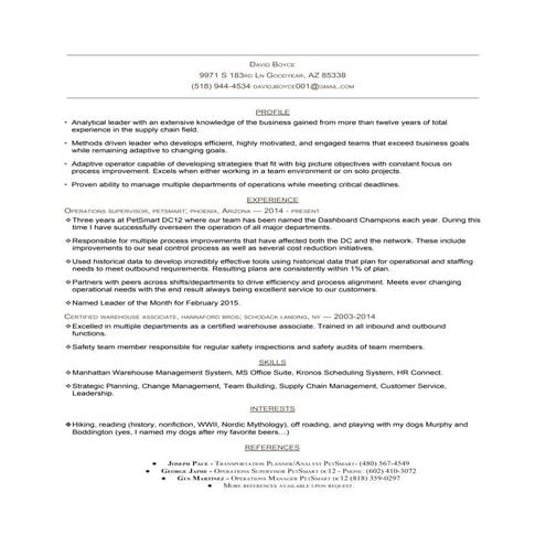 Luis Rios Resume | DOCX
