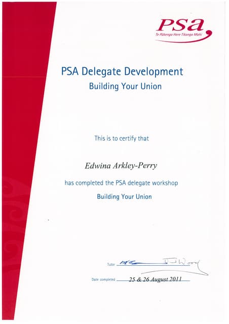 PSA Problem Solving | PDF