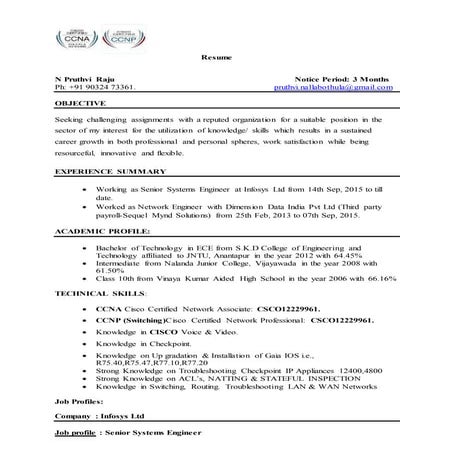 Pruthvi_Resume | DOCX