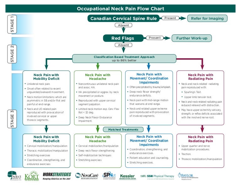 Neck Pain Classification