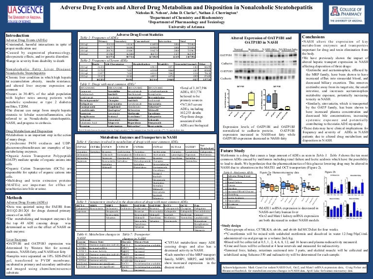 Senior Thesis- Poster