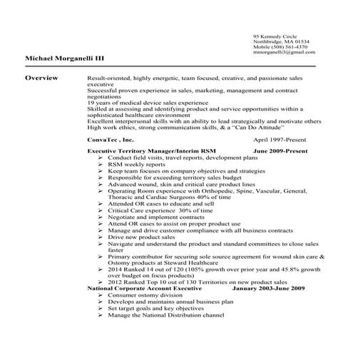 Michael Morganelli Resume 9-8-16 | PDF