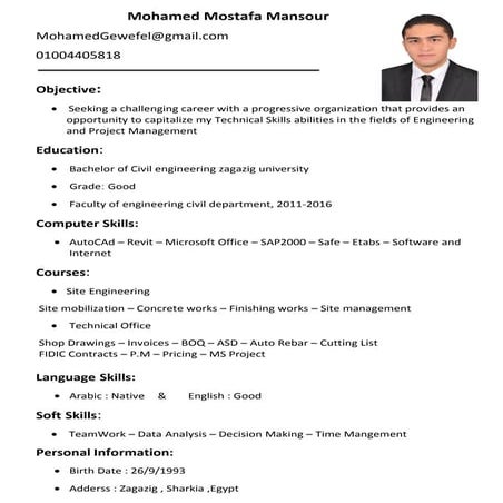 Mohamed Mostafa Mansour | DOC