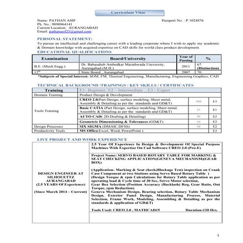 PATHAN ASIF CV | PDF