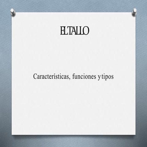CLASES DE TALLO SEGÚN SU FORMA.pptx