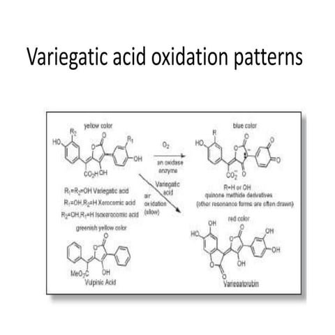 variegatic acid | PPT
