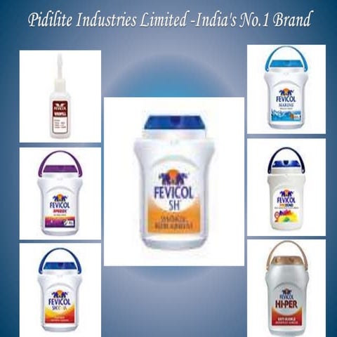 Pidilite Industries Limited -India's No.1 Brand | PPT