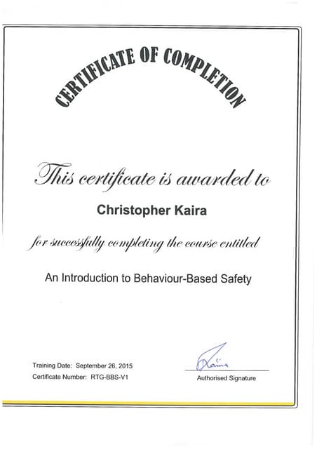 TFM painting certificate | PDF