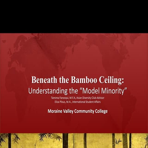 5tf Diversity Conference Presentation - Understanding the Model ...