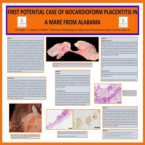 Nocardioform placentitis ACVP | PPT