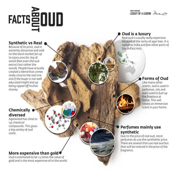 6 facts about oud | PPT