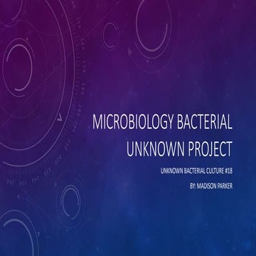 Microbiology Bacterial Unknown Project | PPTX